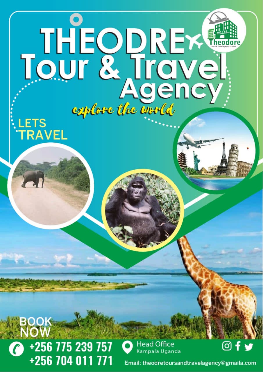 Our Services - Theodore Tour & Travel Agency